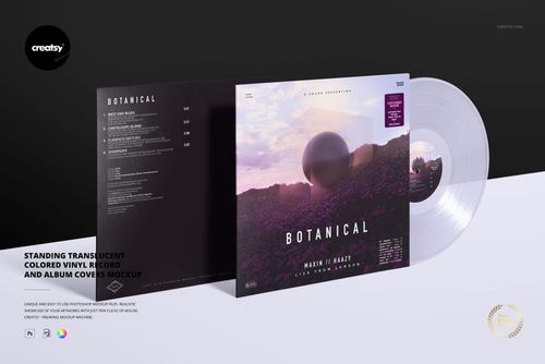 Standing Translucent Colored Vinyl Record and Album Covers Mockup ...