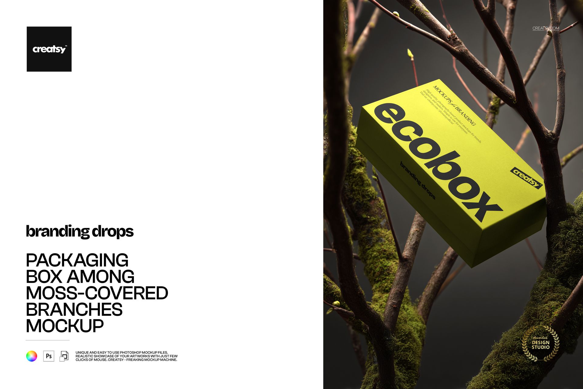 Packaging Box among Moss-Covered Branches Mockup | Creatsy®