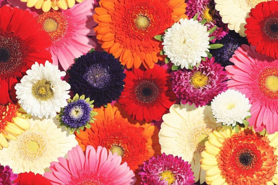 Isolated objects | Creatsy®